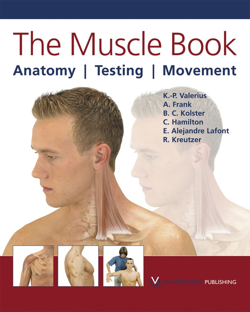 THE MUSCLE BOOK ANATOMY | TESTING | MOVEMENT | Quintessence Publishing ...